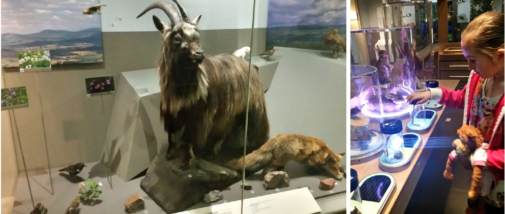 Life As Kim: Our Great North Museum: Hancock visit.