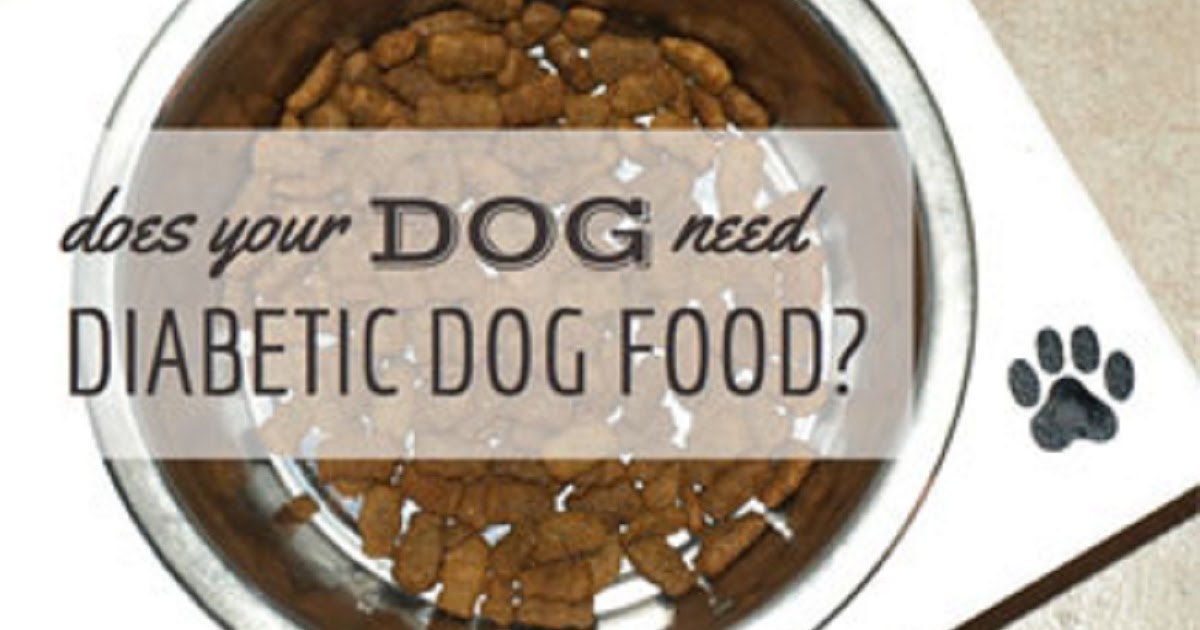 How To Get The Best Diabetic Dog Food For Your Pet Doglopedix how-to-get-the-best-diabetic-dog-food-for-your-pet-doglopedix