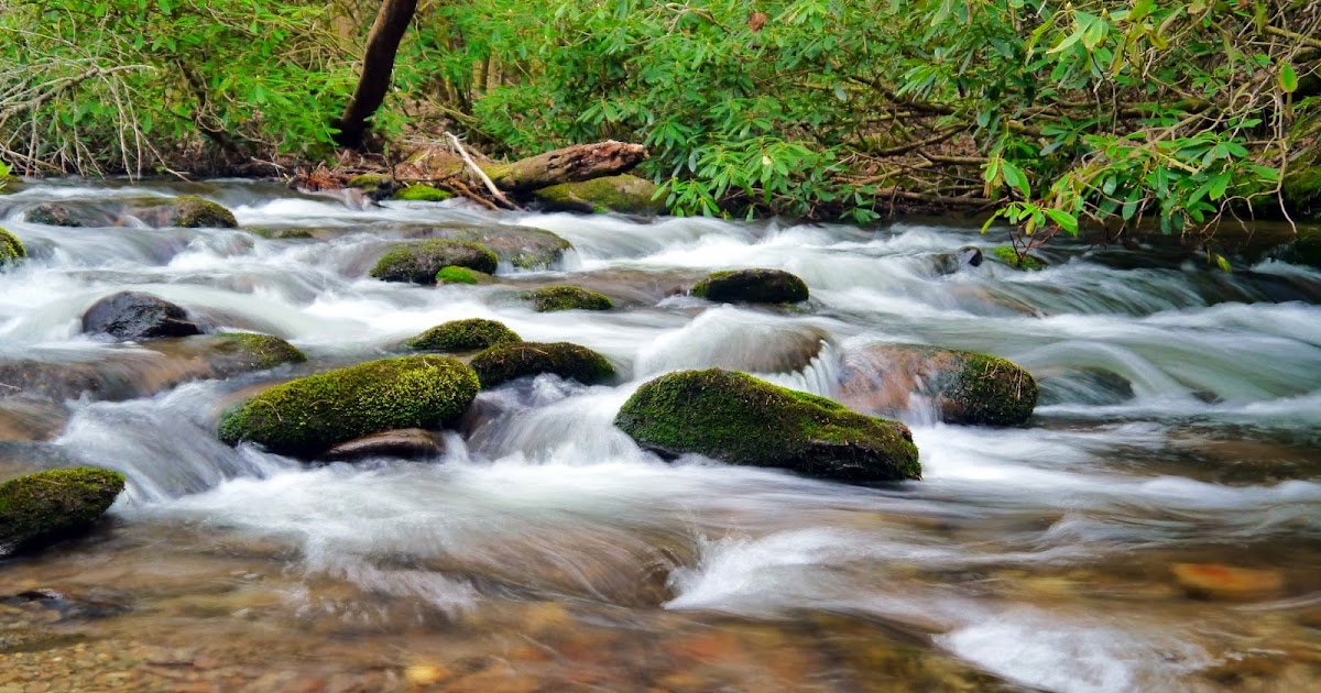 American Travel Journal: Parson Branch Road - Great Smoky Mountains ...