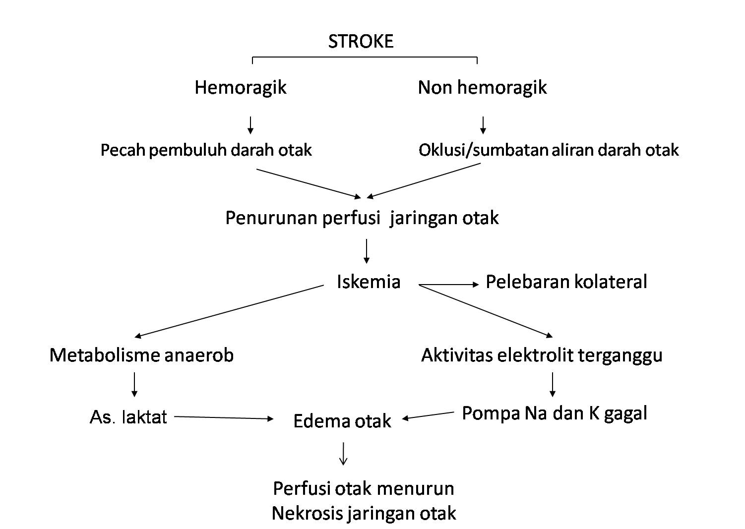 Fisioterapi Indonesia: STROKE