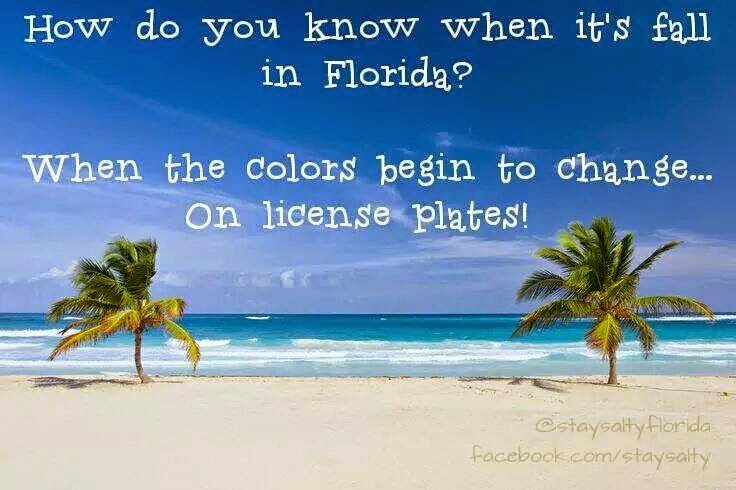 Mountain Mermaid: Hello..It's Fall in Florida..