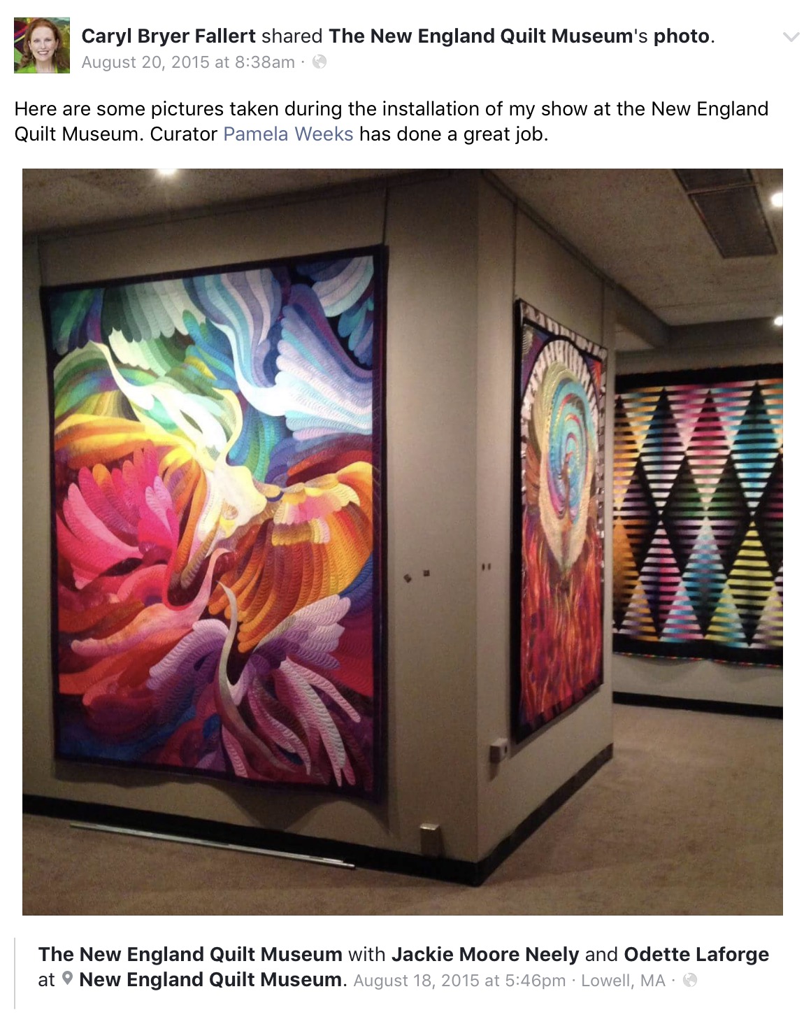 Carol Ann Kauffman's VISION and VERSE : Quilt Artist Carol Bryer Fallert Carol Ann Kauffman's VISION and VERSE : Quilt Artist Carol Bryer Fallert