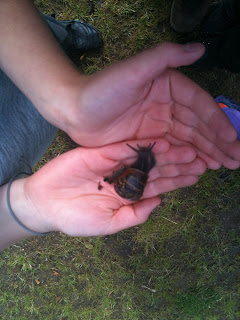 Outdoor Maths: Looking at different angles in nature | Creative STAR ...