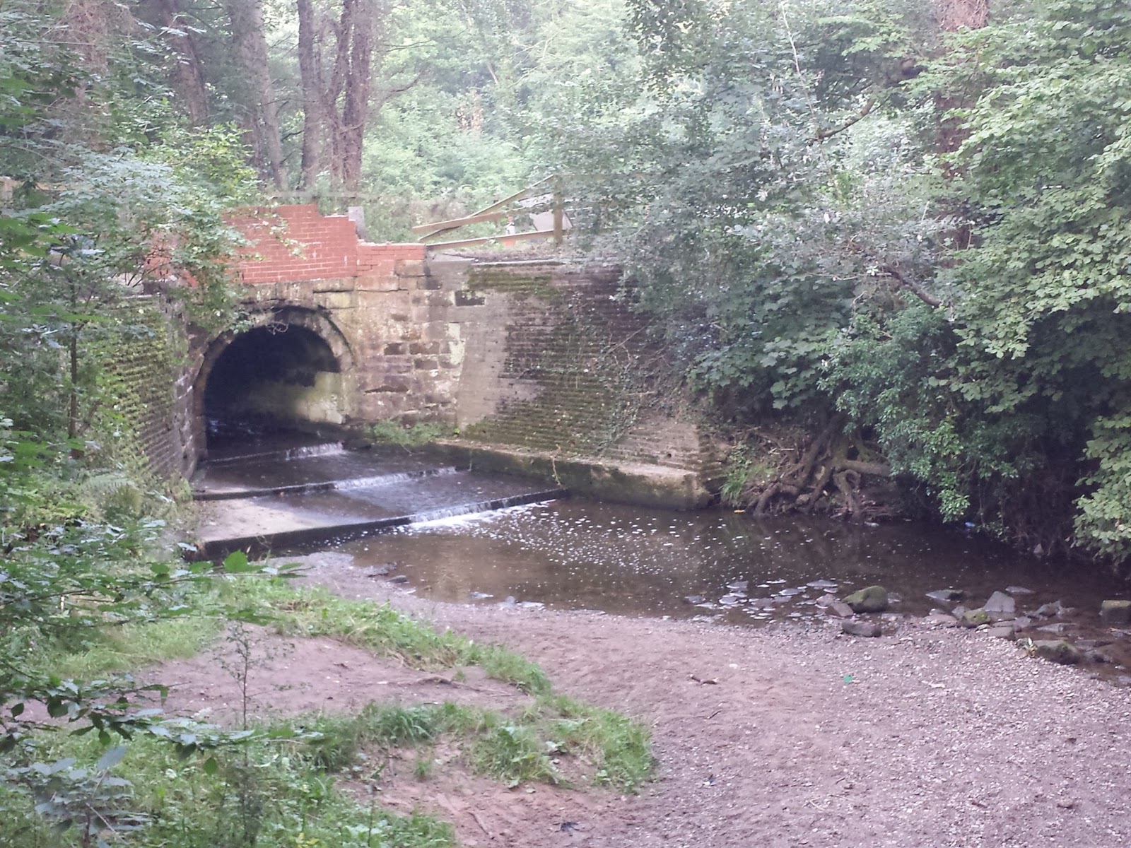 Bucko's Birding Blog: Rivacre Valley Country Park - Bank Holiday Monday ...