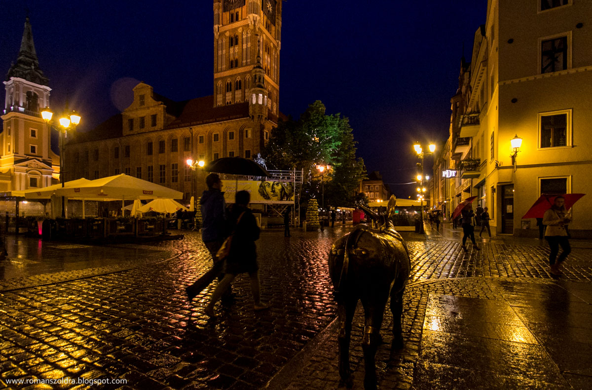 Roman Szołdra | Fotografia reportażowa | Fotograf Opole Namysłów ...