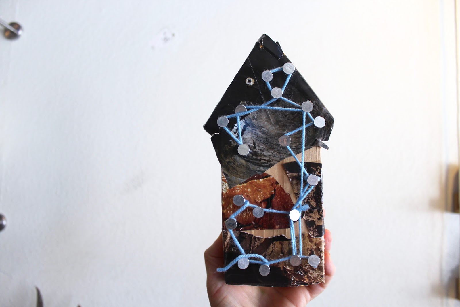 Purple Twig: Spider Houses