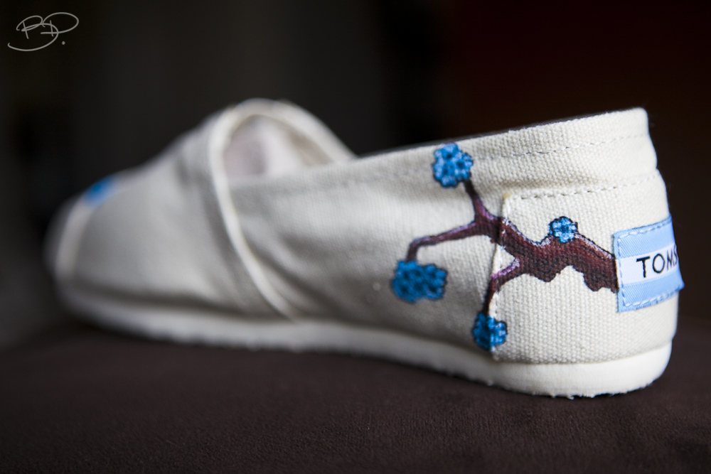 Benjamin Paras: Aqua Cherry Blossom Custom Toms Shoes
