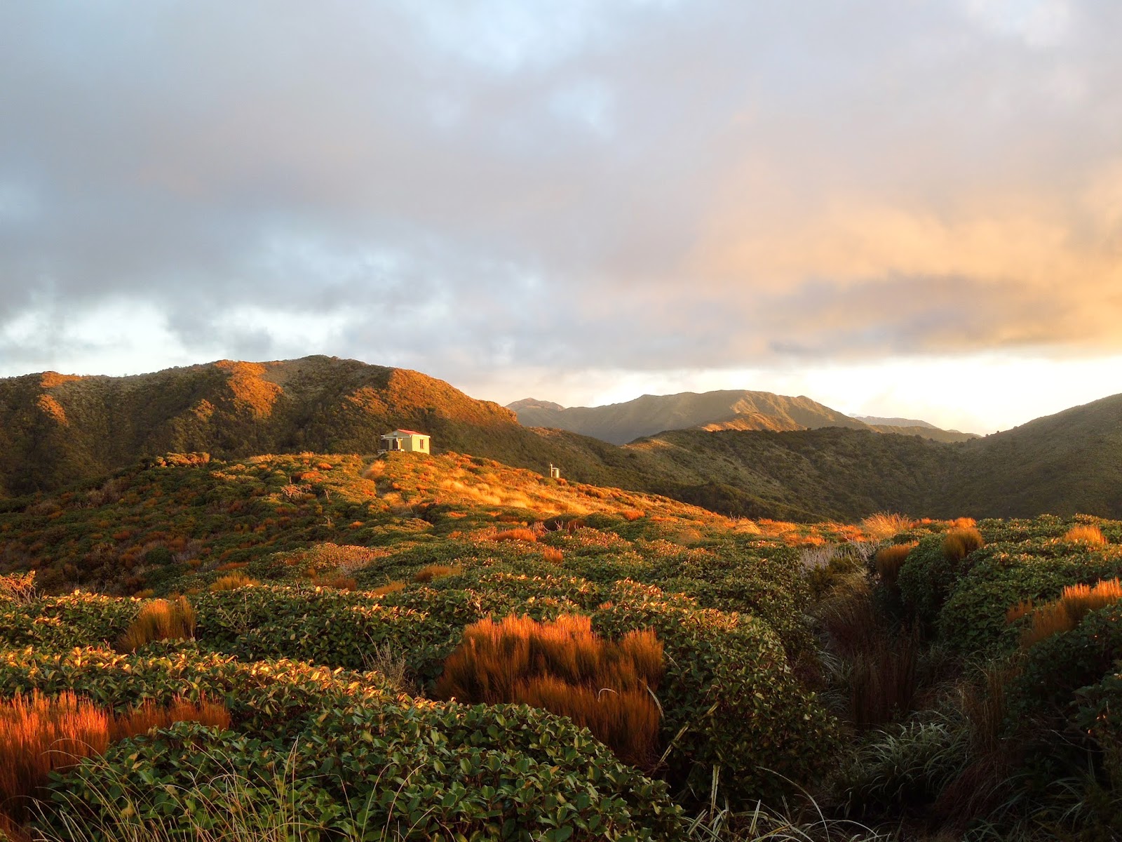 A Welcome Sight: Burn Hut, Tararua Range, August 2014