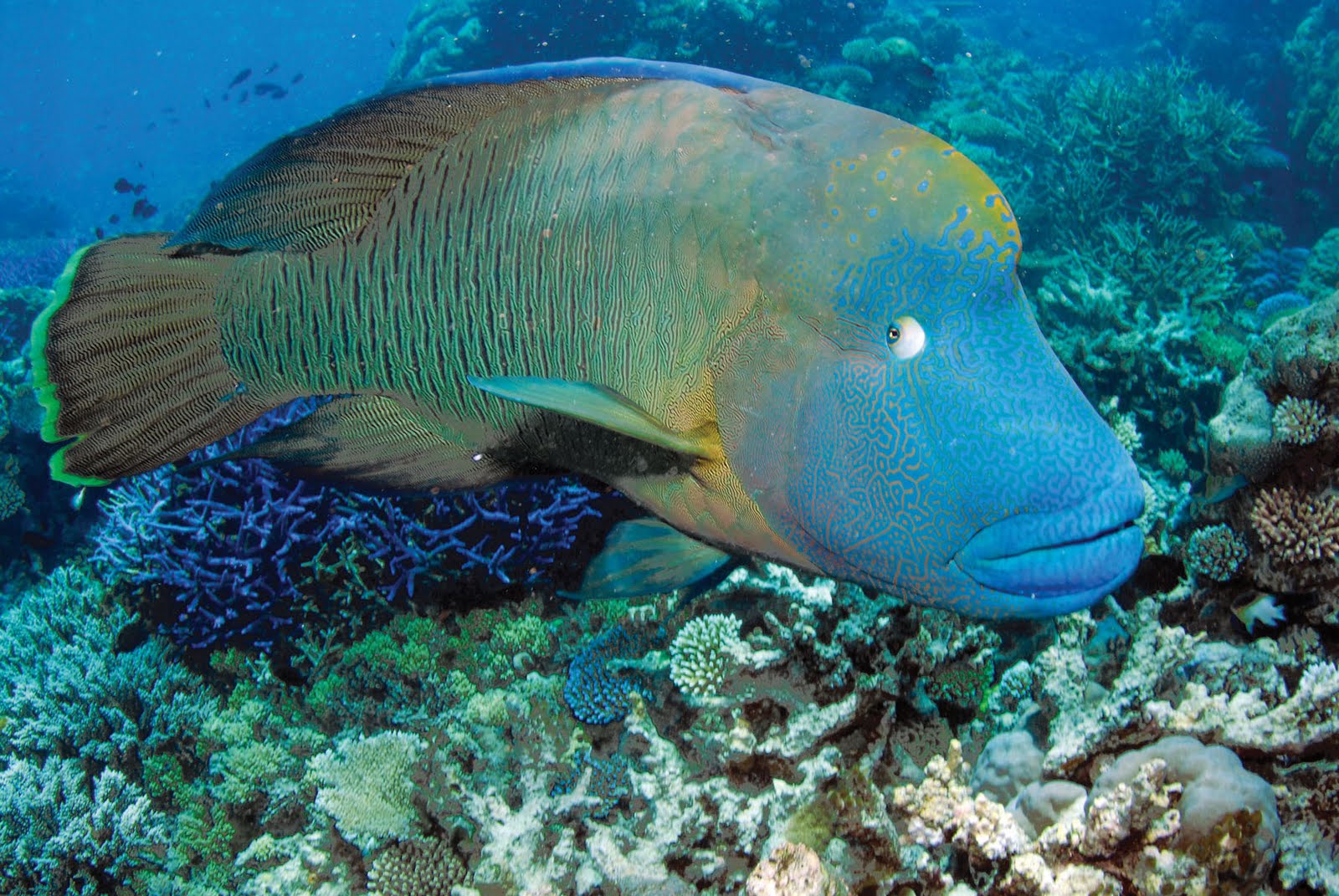 tour du monde julie et loic: juin 2011