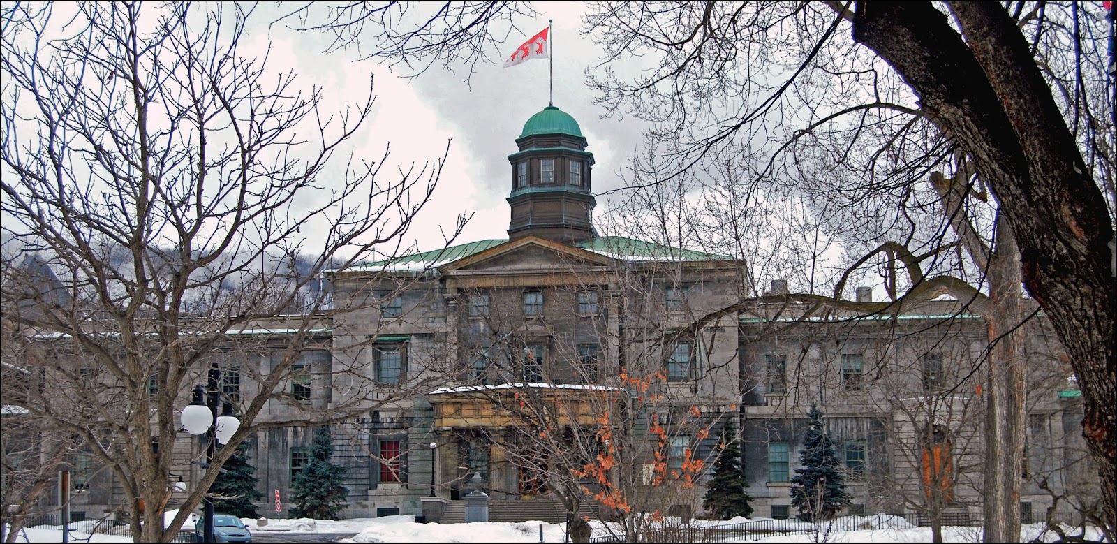 What Are The Requirements To Get Into Mcgill University what-are-the-requirements-to-get-into-mcgill-university