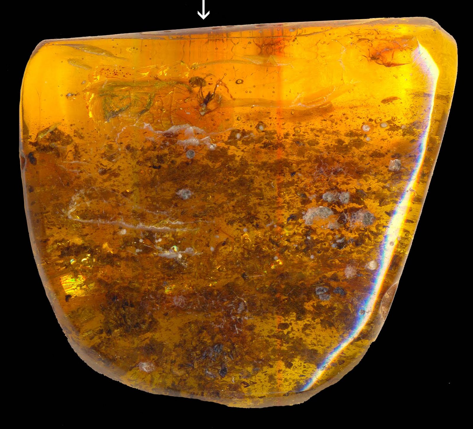 A Contemporary New England Witch - "The F Files" : The magick of stones ...