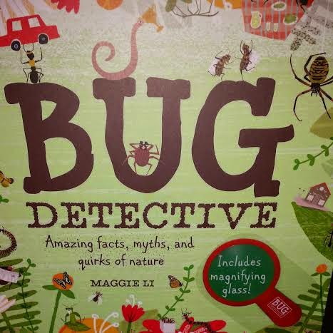 Bug Detective by Maggie Li