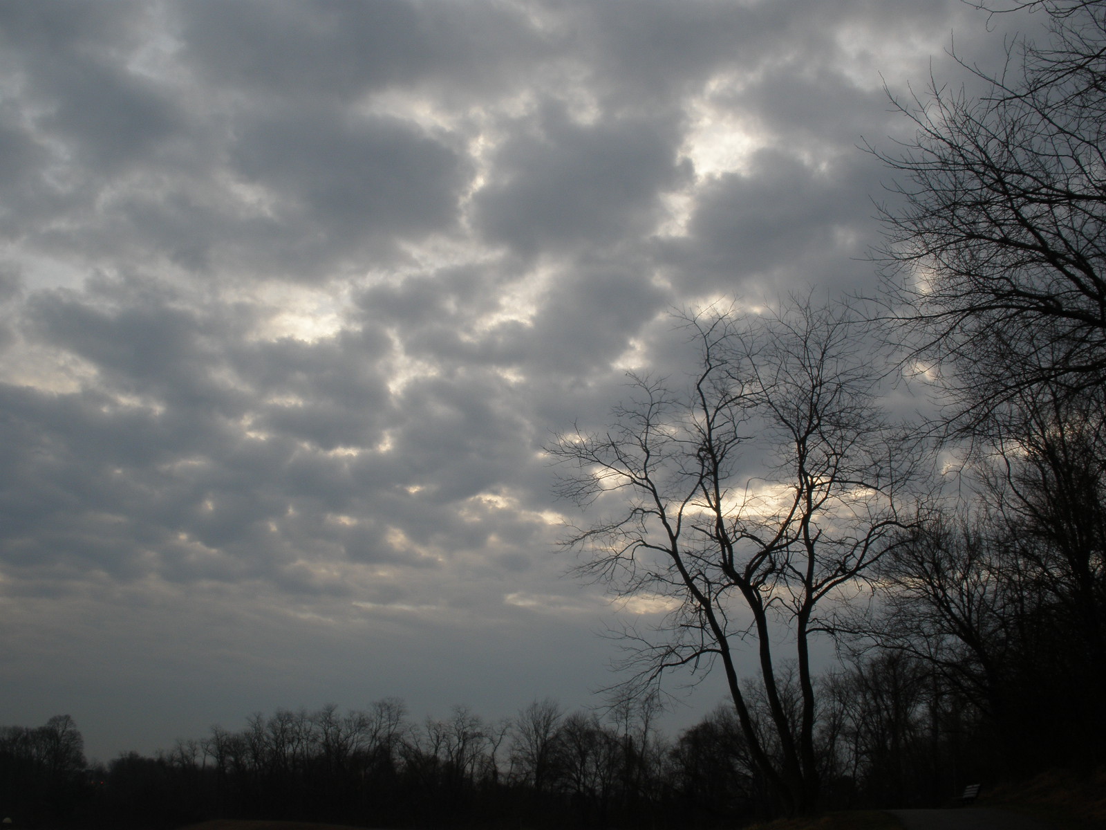 Life is Good : ): Damp and cloudy morning