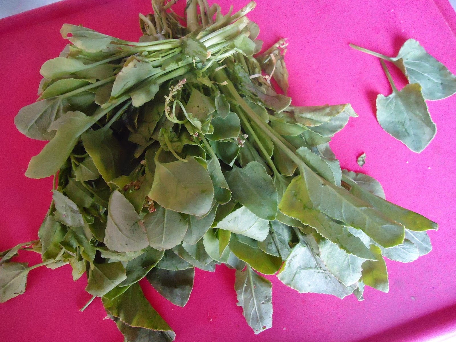 Kusuma's Abhiruchi: Chukka Kura Sabji