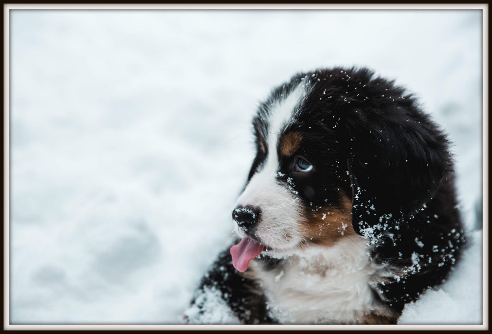 Doin' Nuttin', Fig Newtons, & First Dates - Preppy Empty Nester F