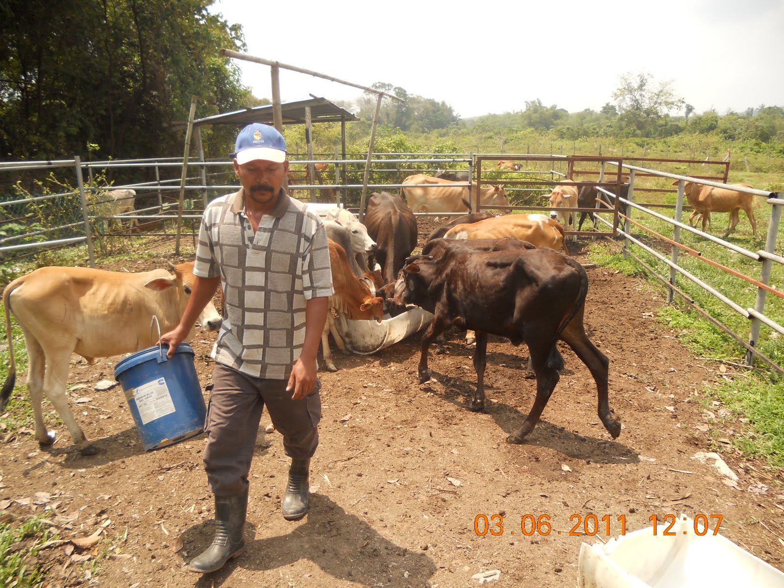 Cinta Pada Yang Satu: PETANI MODEN