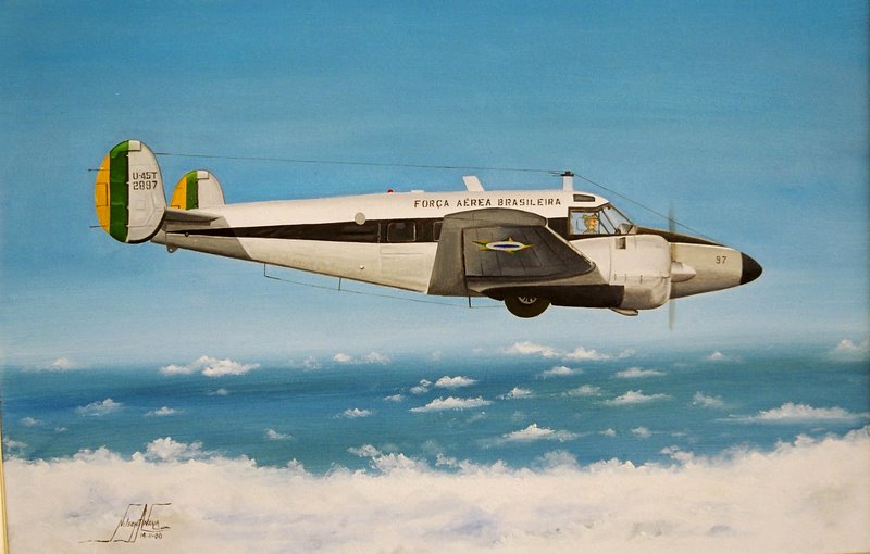 NELSON ANAYA - A ARTE AERONÁUTICA