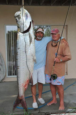 Big Fishes of the World: TARPON page 2