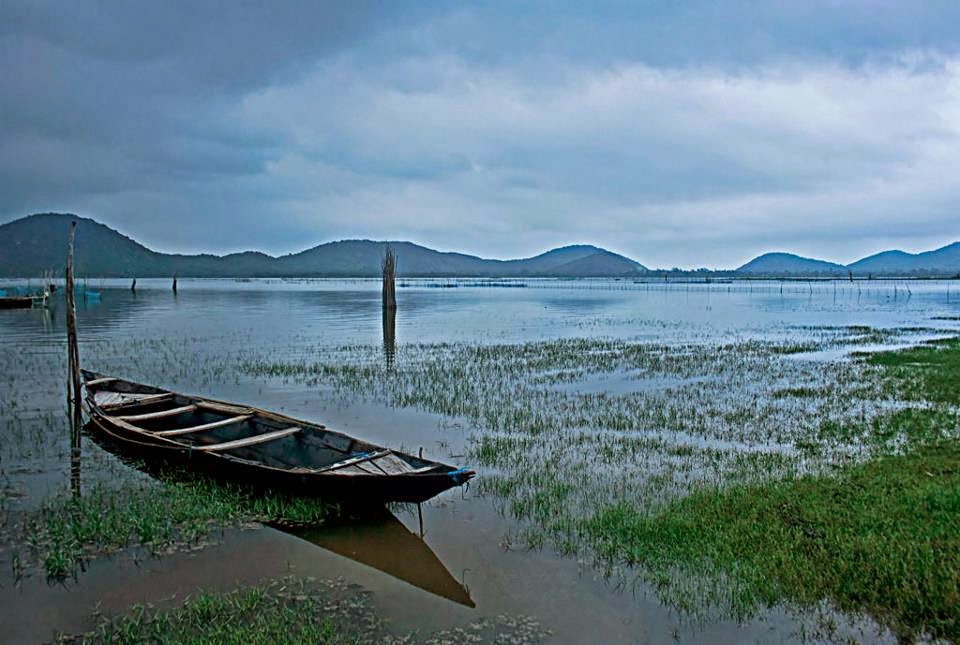 NACHER WALLPAPERS | Goods Wallpaper