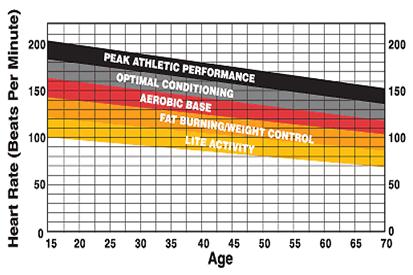 Bodybuilding Pictures Tips: Cardio Training Zones Heart Rate