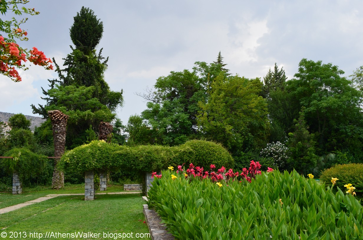 Athens Walker: Diomedes Botanic Garden: a jewel of a garden west of Athens