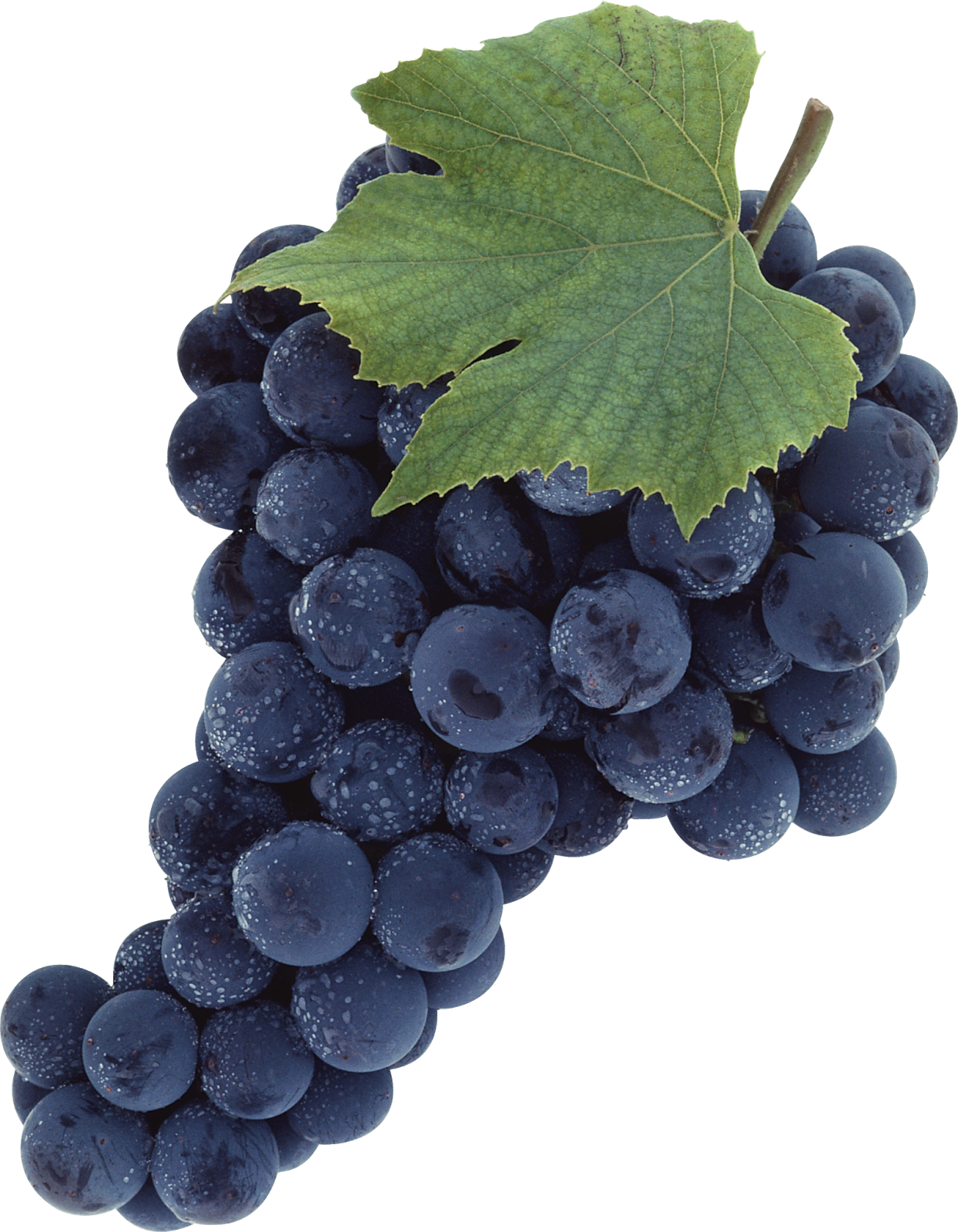 Paisagens Da Natureza: Uvas Png