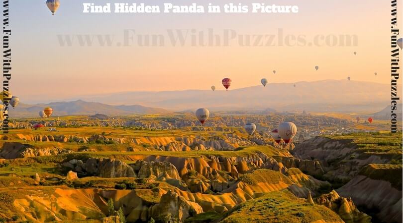 Test Your Observation: Hidden Animal Picture Puzzles!