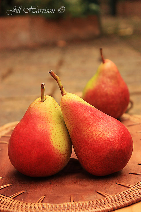 Life Images by Jill: May 2011