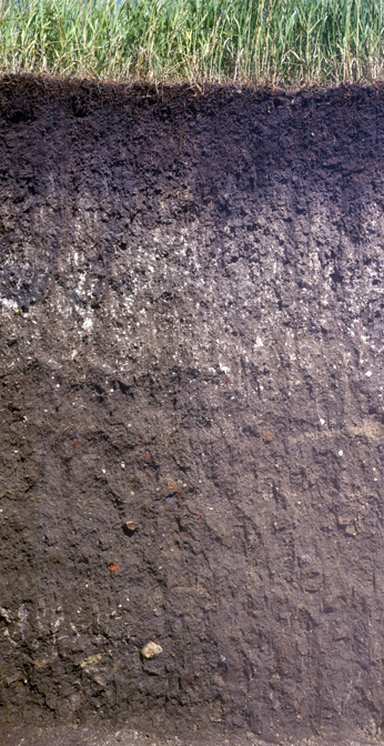 SIFAT & KARAKTERISTIK TANAH MOLLISOL ~ GEOGRAFI INDONESIA