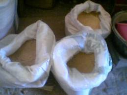 Jenis dan Bahan Pakan Itik - Tutorial Cara Budidaya