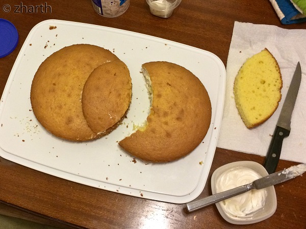 Hidden Truth, Veiled Beauty: Vagina Cake