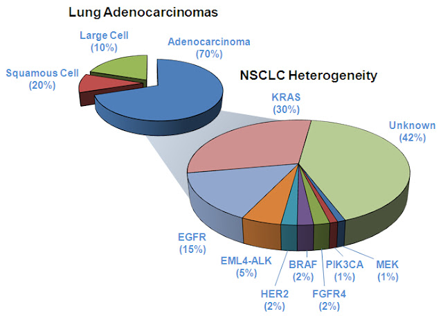 Cancer Continuum: About ALK