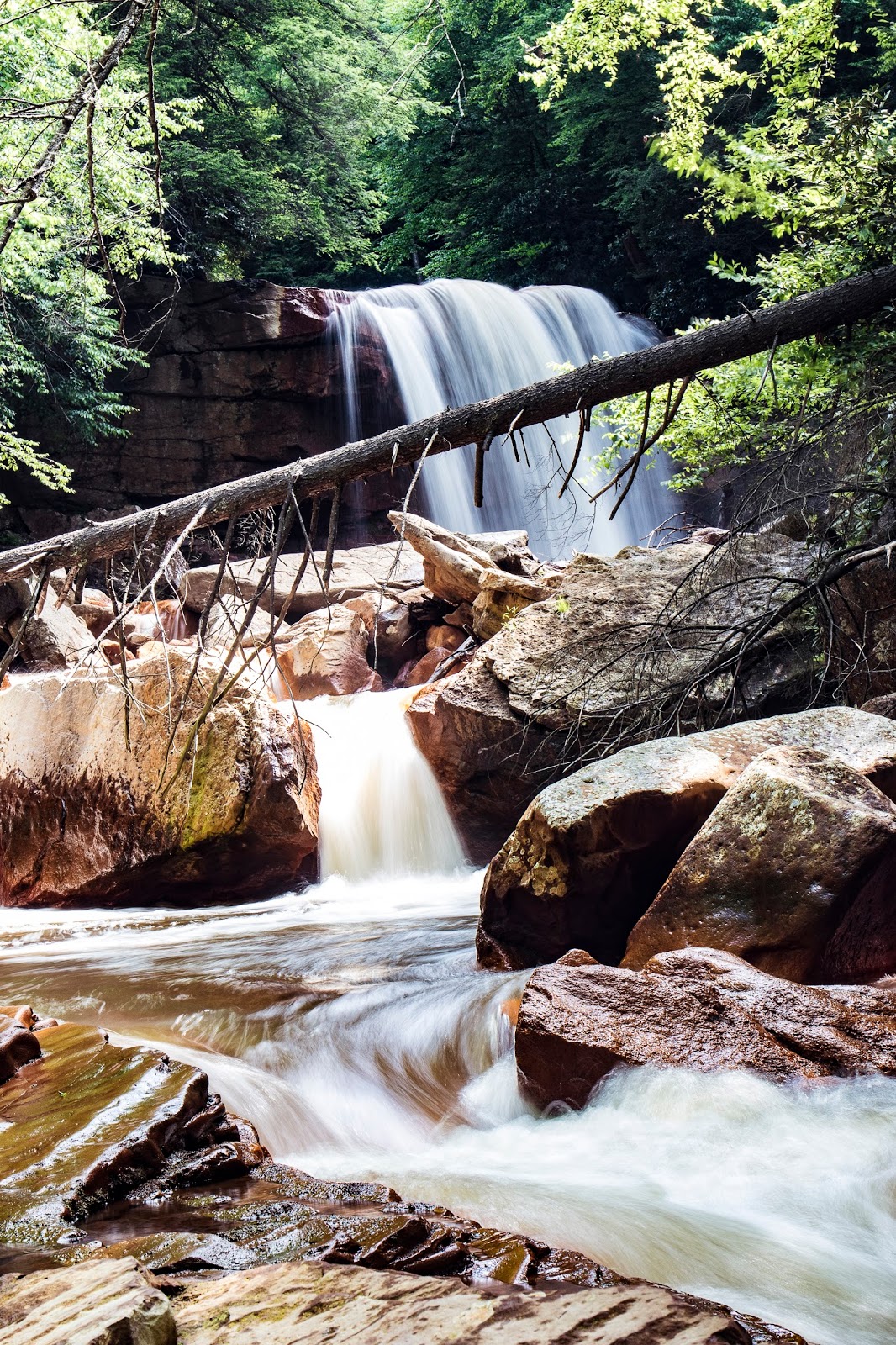 Ed Harkless West Virginia Photos