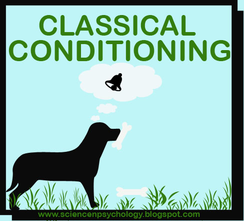 Classical Conditioning : a brief description about learning process