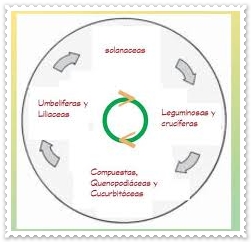 ROTACIÓN DE CULTIVOS ECOLÓGICOS: