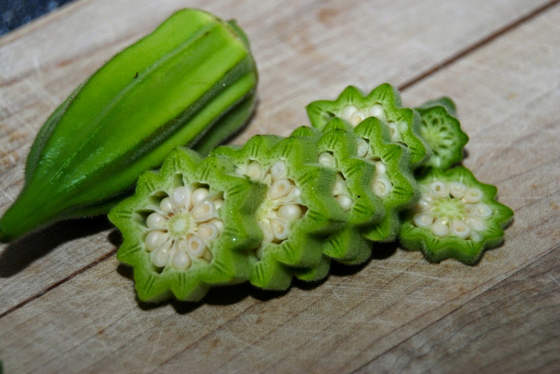 Seminte si plante de gradina hobby: Bame