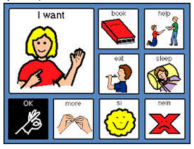 Fun with SATB2 Associated Syndrome : Introductory Guide to SATB2