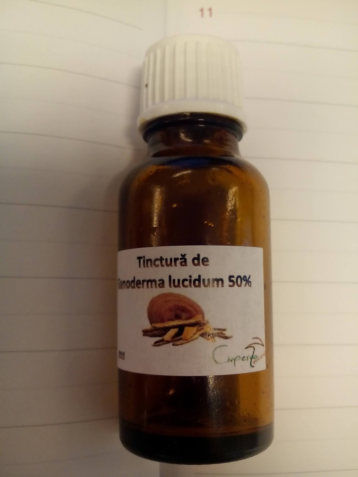 Tinctură de Ganoderma lucidum - Farmacia naturii | Ciupercomania, totul ...