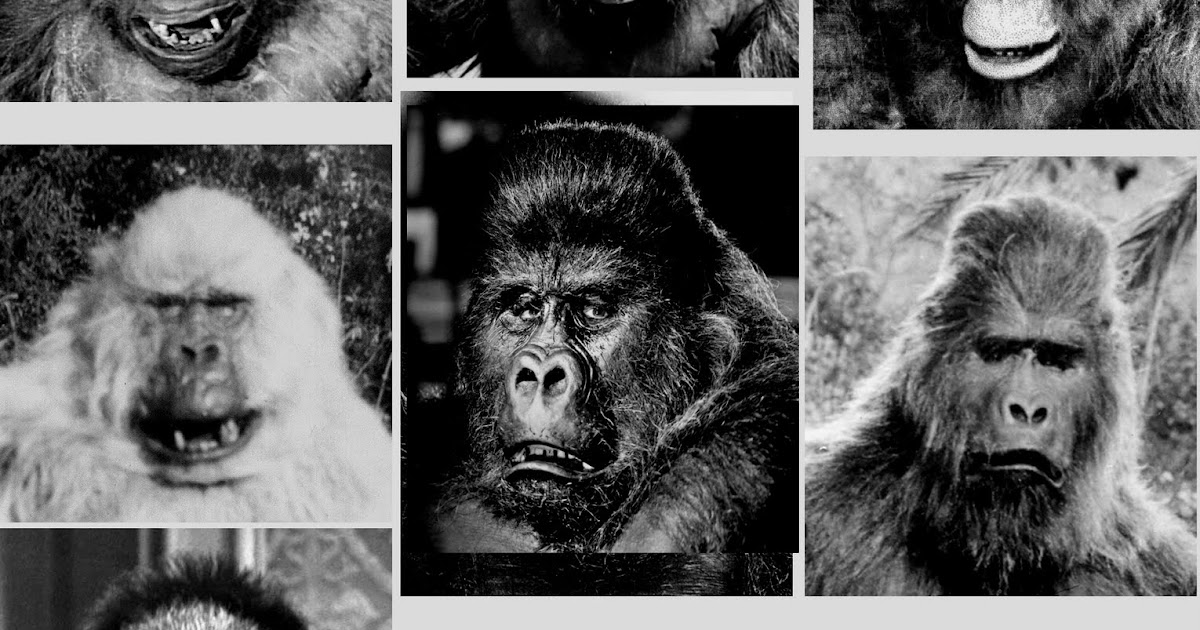 Hollywood Gorilla Men: A lot more-a Gemora