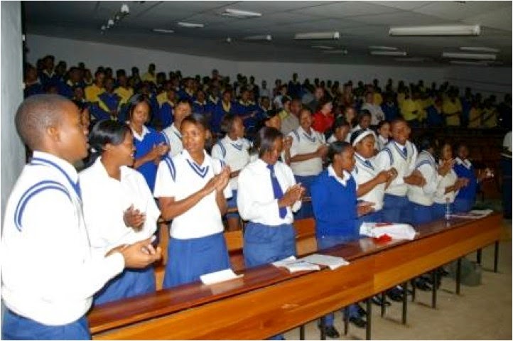 Friends of Edendale: About the school