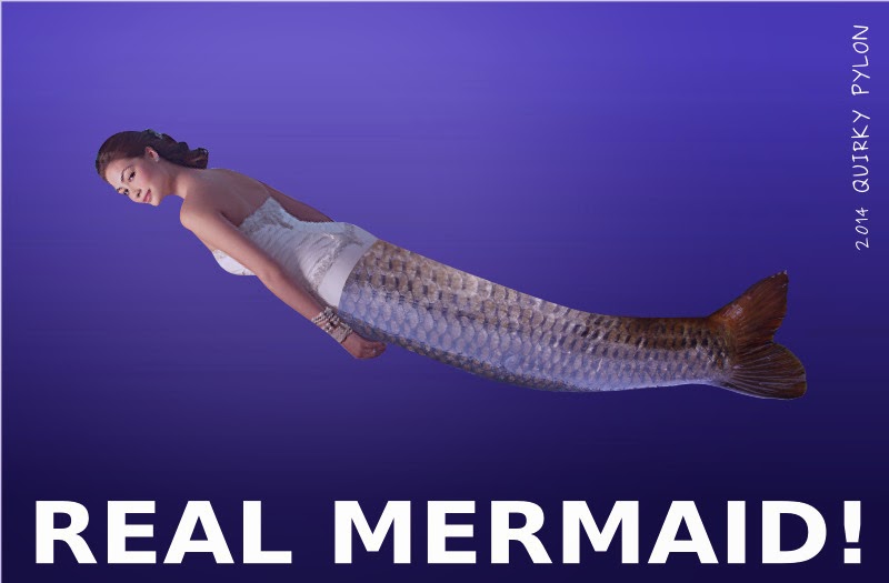 QUIRKY PYLON: REAL MERMAID CAPTURED ON CAMERA