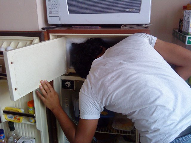 April 2013 ~ 241543903 / Heads In Freezers Meme