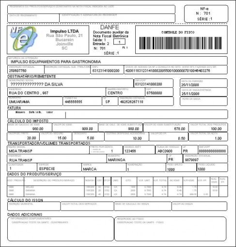 Danfe Online: Como utilizar o portal do danfe online