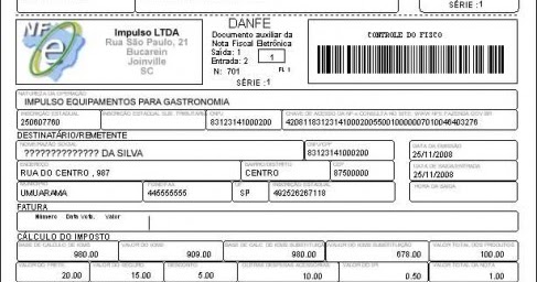 Danfe Online: Como utilizar o portal do danfe online