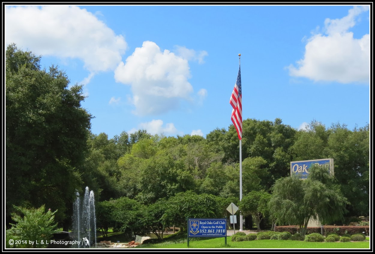 Ocala, Central Florida & Beyond: Oak Run