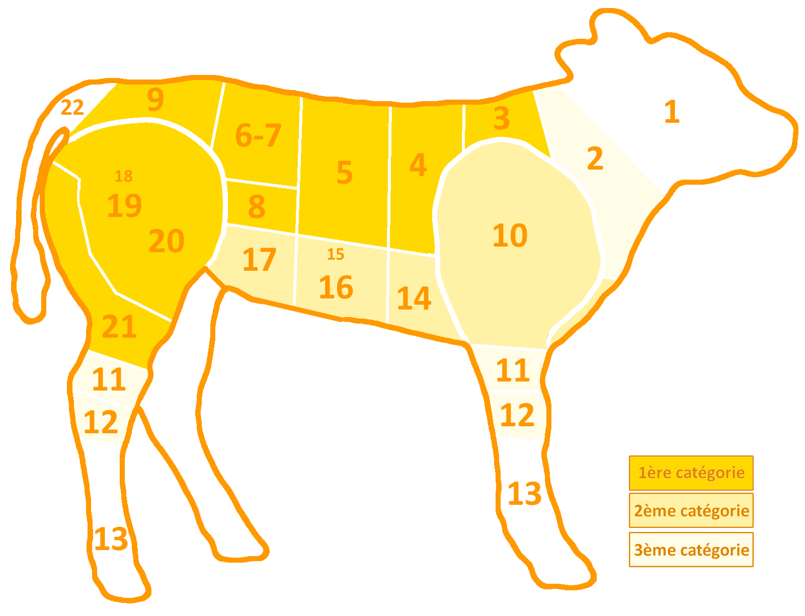 Le veau : de la ferme à l'assiette