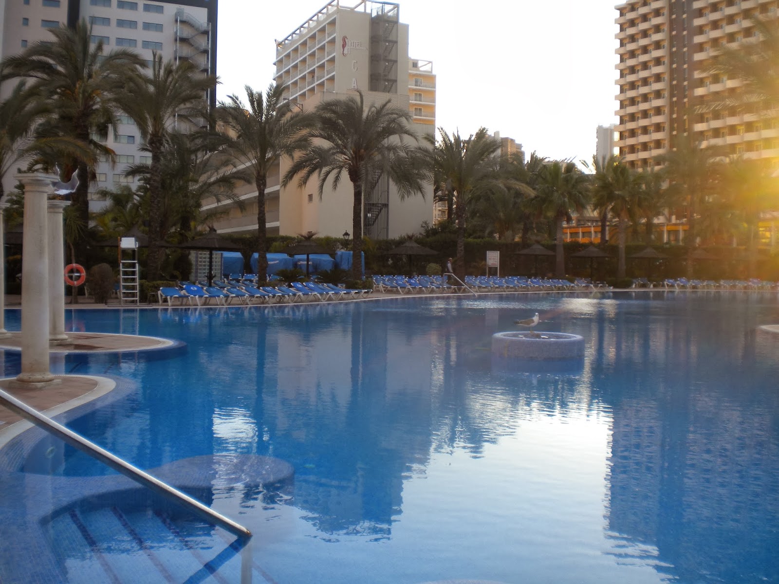 Robert Vale: Benidorm TV Series