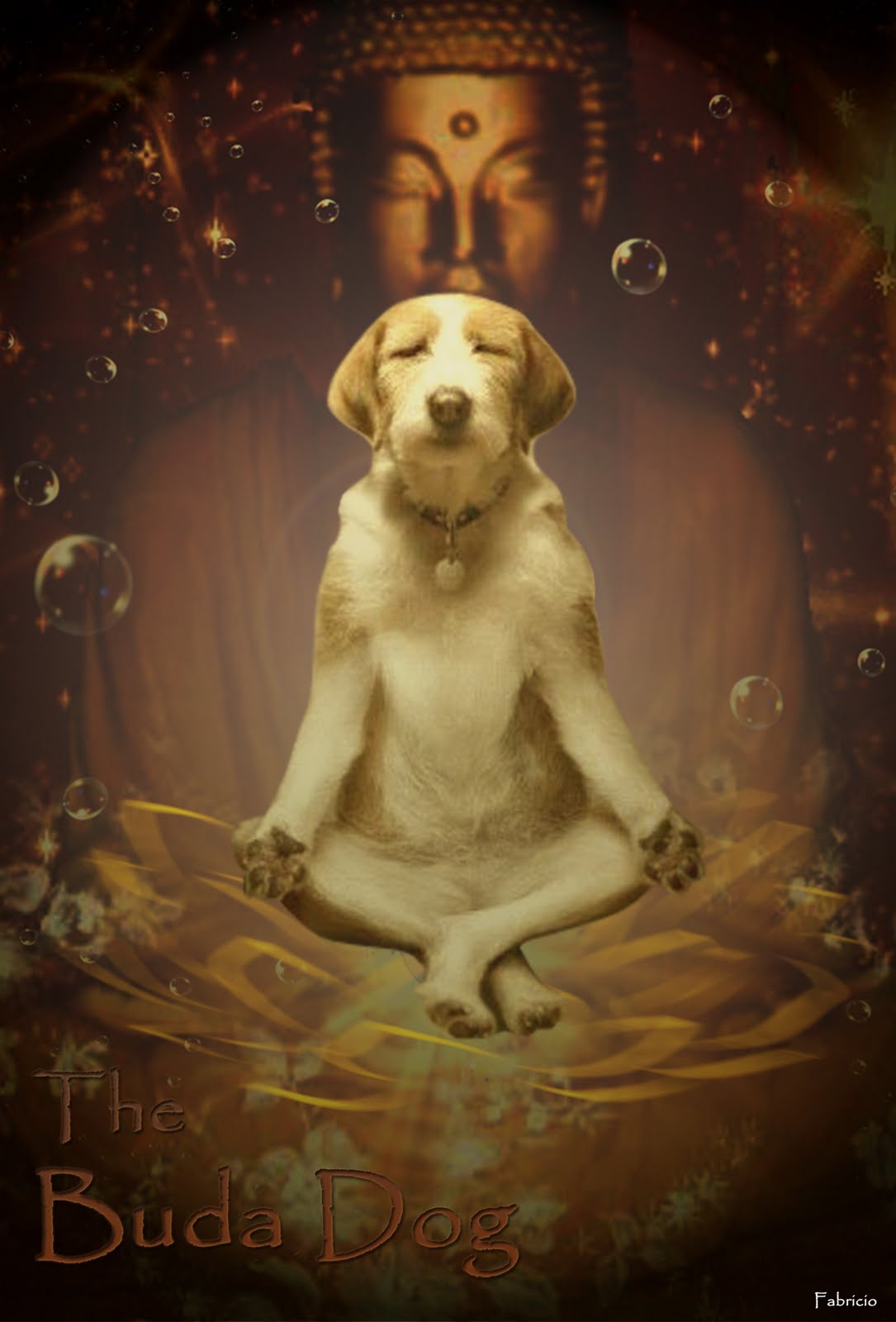 We Design Our Future: O cachorro budista