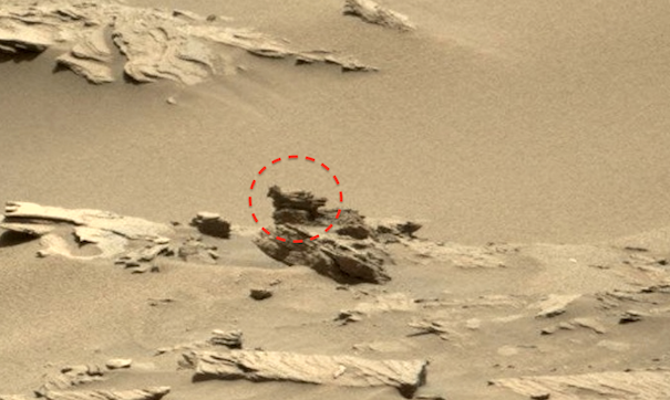 UFO SIGHTINGS DAILY: Bird Resting In Nest Found On Mars In NASA Rover ...