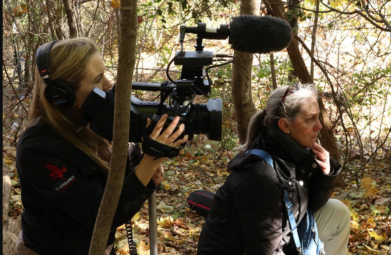 Catnip Nation - A Documentary About Feral Cats and the People Who Take ...